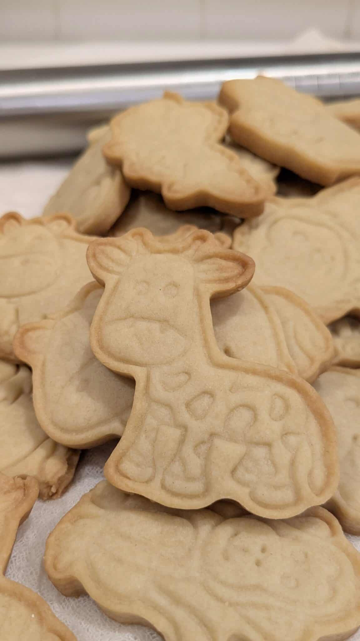 Healthier Animal Crackers - Only 4 Ingredients